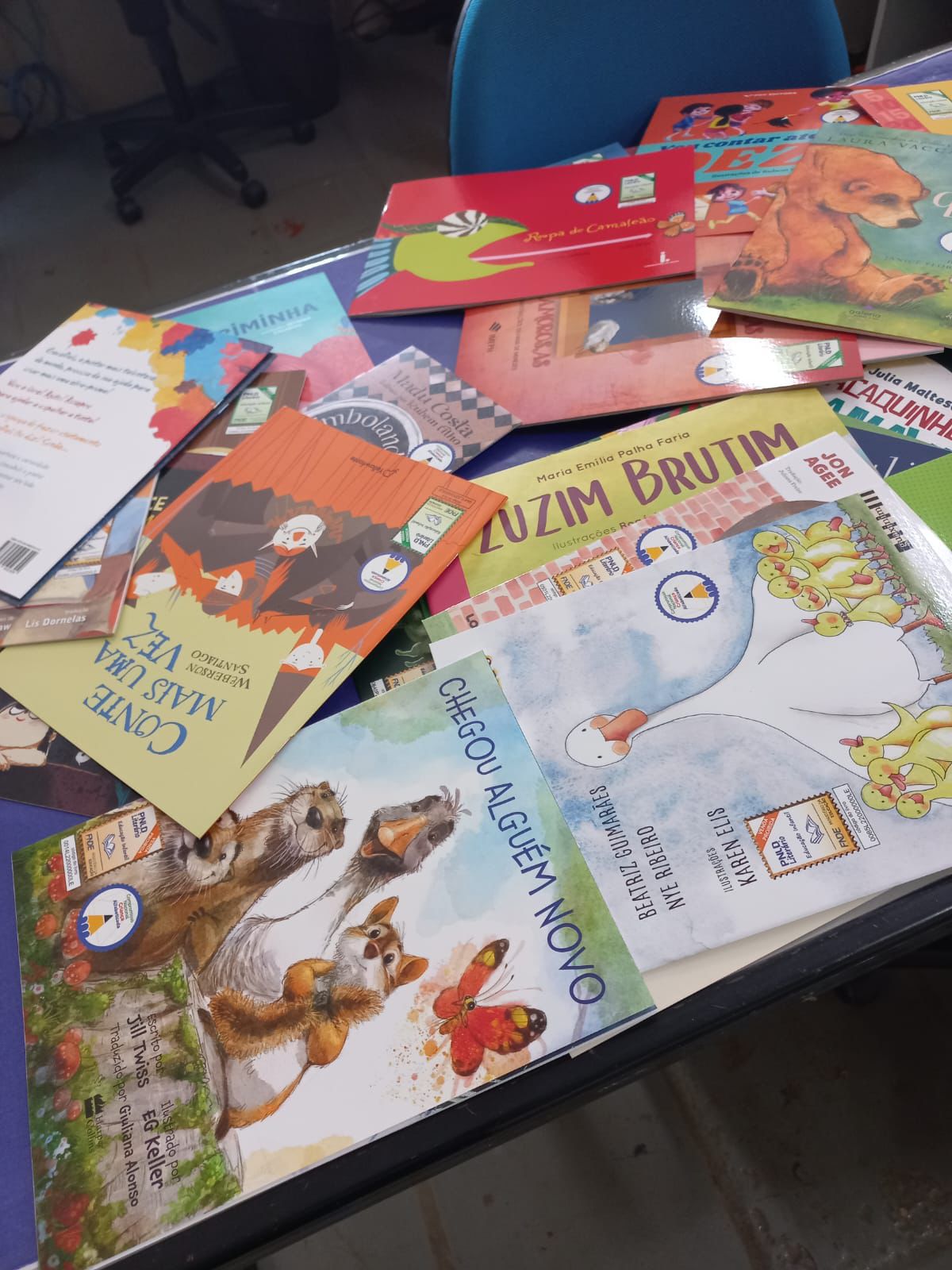 Biblioteca Pública de Patrocínio recebe novos livros do Programa ...